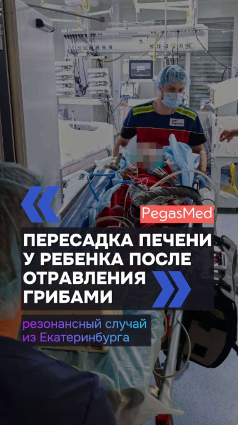 В Екатеринбурге ребенок отравился грибами, понадобилась пересадка печени 😱