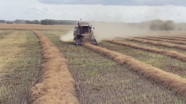 Поколение ПРОФИ. Сельское хозяйство