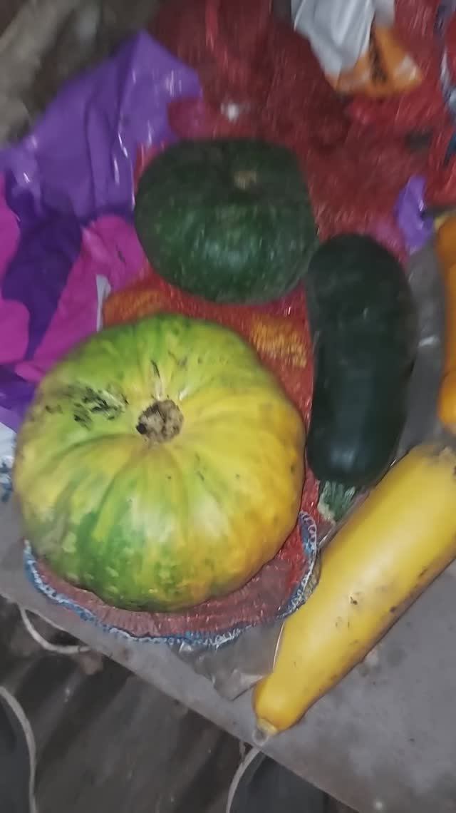 Огородный сезон закрыт!)