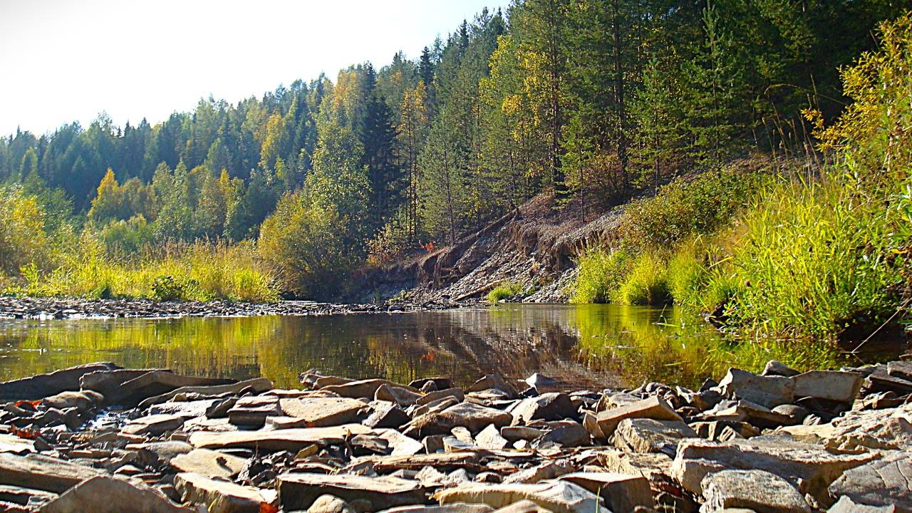 Река Доманик у поселка Шудаяг. Республика Коми.