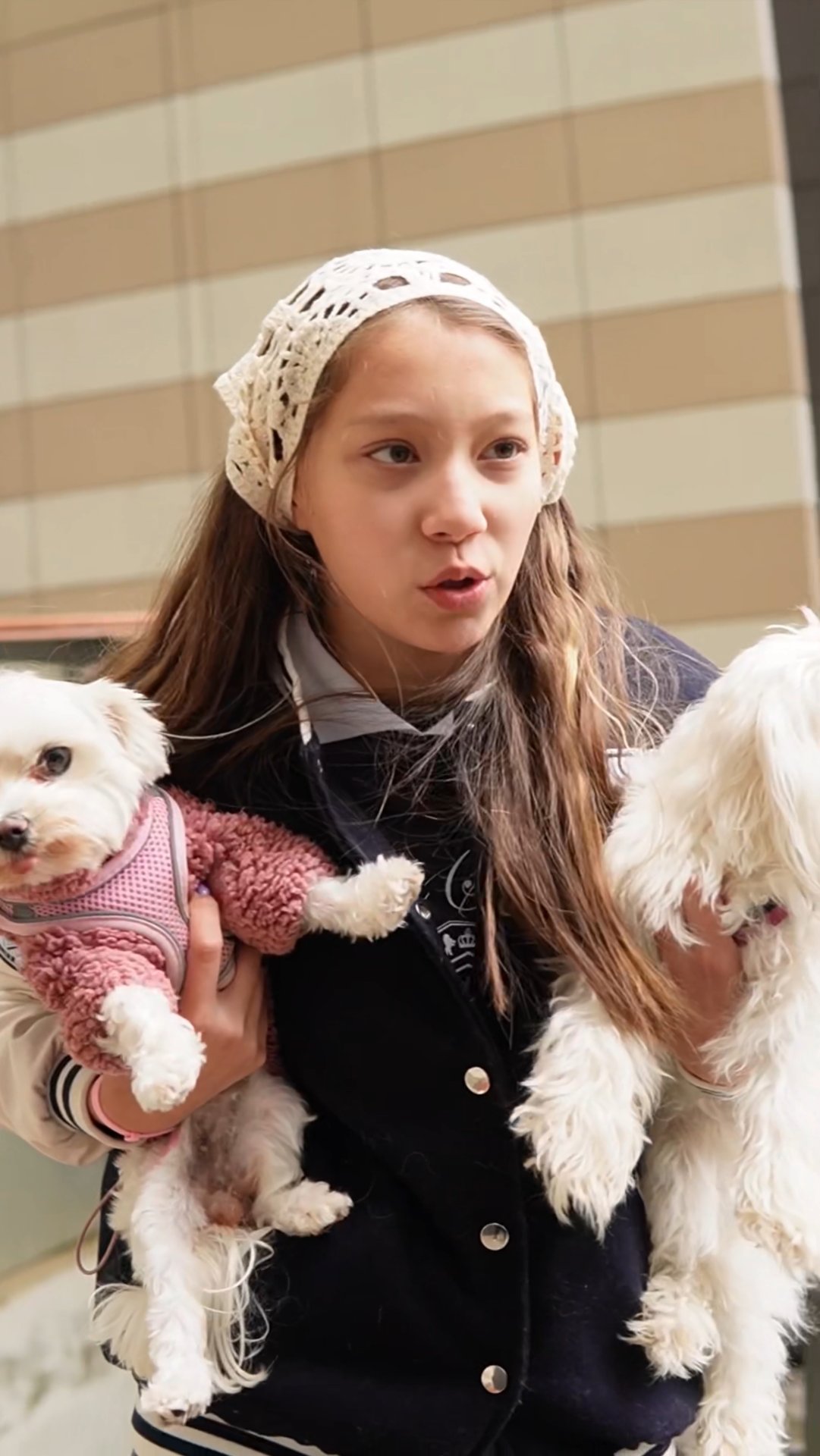 Сериал Про собаку. 2 сезон. 8 серия.