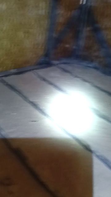 Опилки + Известь #shorts