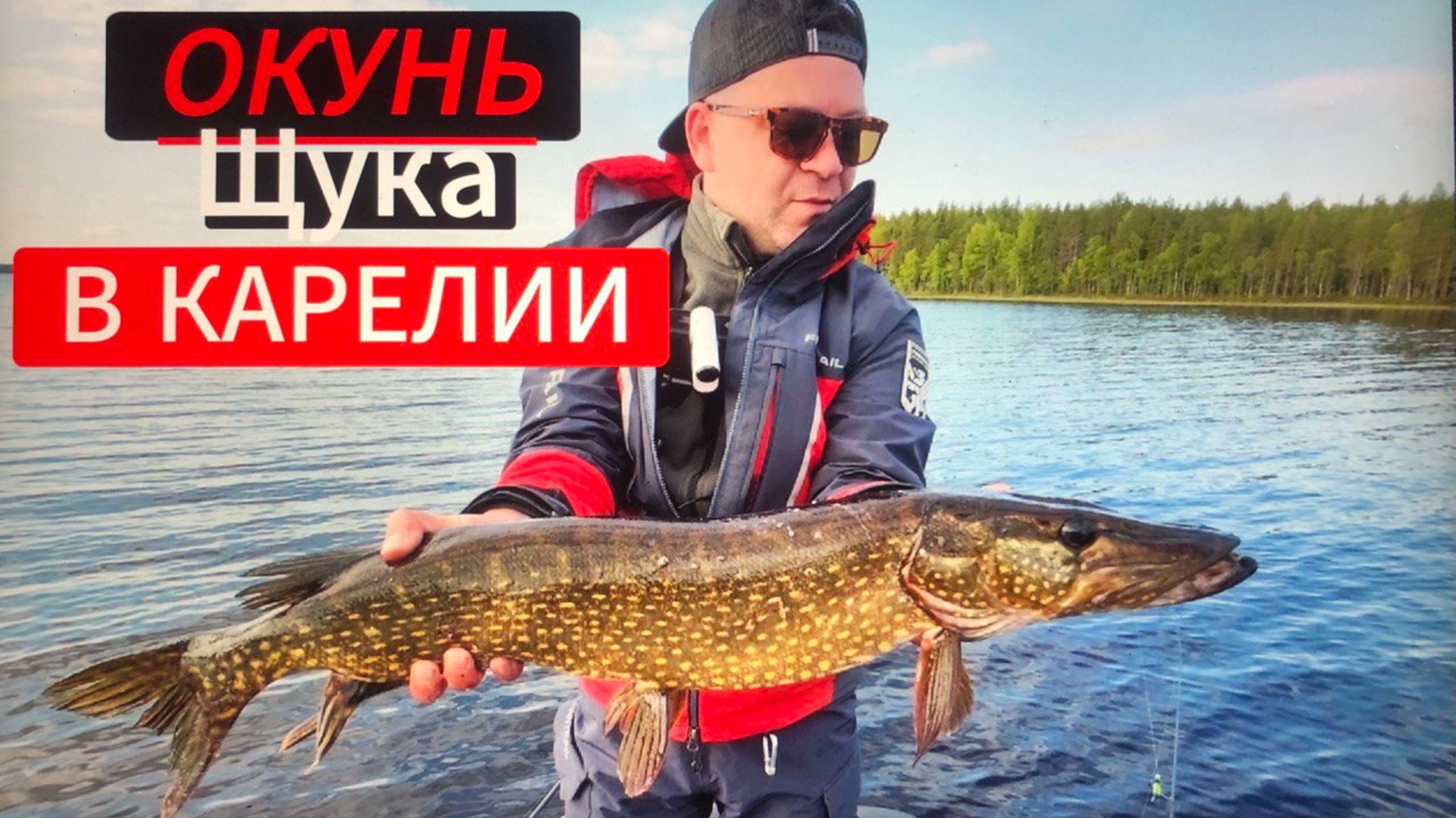 Рыбалка в Карелии лето 2024 , Окунь , Щука 3кг , Джиг и Воблера . Следы Медведя . Северная рыбалка .