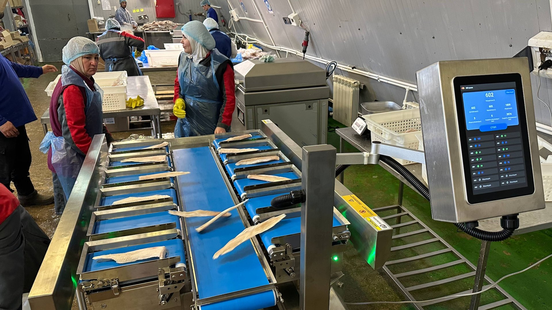 Полуавтоматический весовой дозатор (группировщик) линейный для продуктов. Для рыбы: стейки, филе.