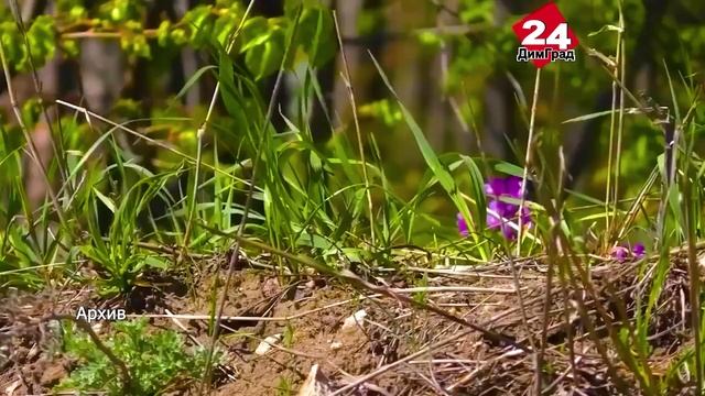 Грипп не за горами, а клещи еще не спят