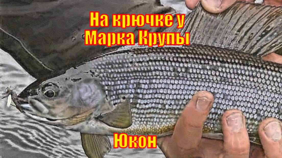 На крючке у Марка Крупы - Юкон