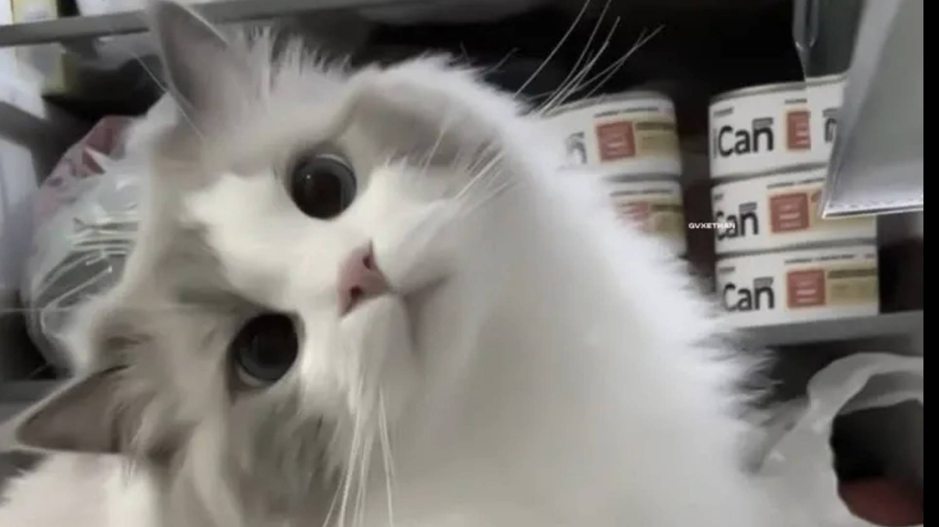 Ребята новое интро наконец простите за долгое отсутствие но да школа... 😭 в опис пж