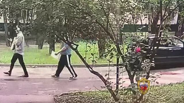 Задержаны двое курьеров телефонных мошенников