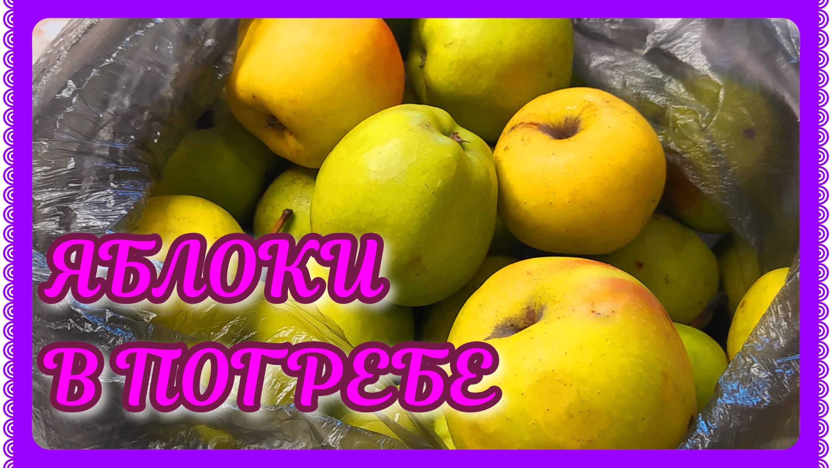 КАК ПРАВИЛЬНО СОХРАНИТЬ ЯБЛОКИ ДО ВЕСНЫ!