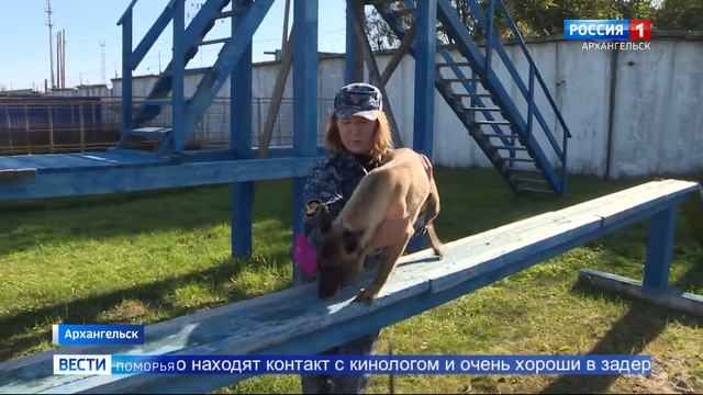 Вести Поморья_Россия 1_Деятельность питомника служебного собаководства УФСИН Поморья