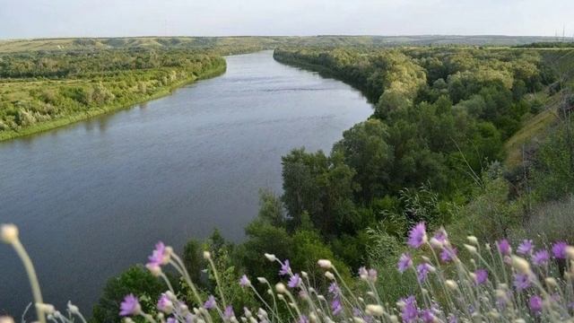 Краеведческий калейдоскоп. Вып. 3 2025