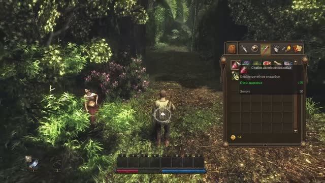 Risen #1 - Освоение острова