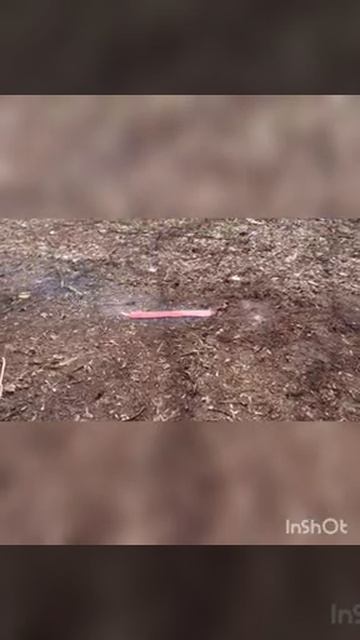 FPC220 Пулеметная лента200 выстрелов