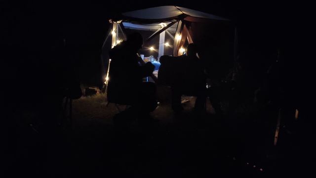 Слёт Омских Кладоискателей 2025. Поиск с металлоискателем EQUINOX 900 #23