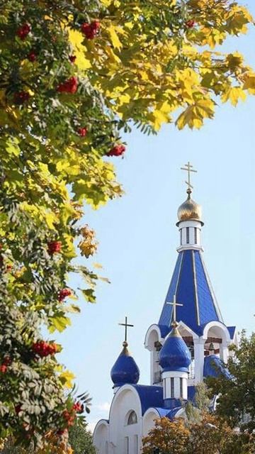 Душевный лекарь#Церковь#shortvideo#shorts#Молитва#Православие