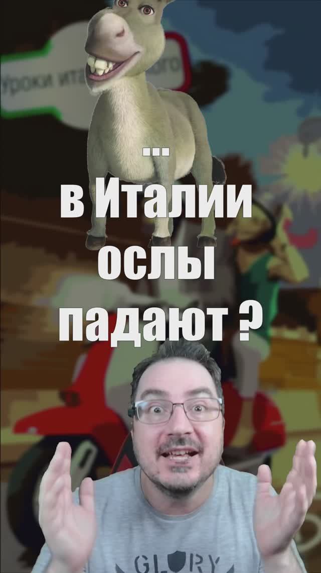 Итальянская фраза: QUI CASCA L’ASINO 🫏 Что это значит?  #итальянскийязык #shorts #quicascalasino