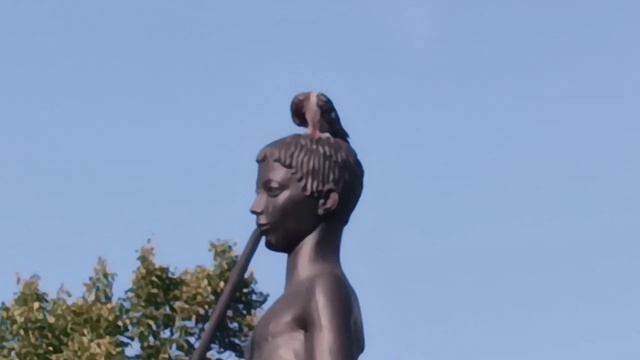 фонтан белки колибри прогулка ЦВЕТЫ- симметрии красоты- жизнь ПЧЕЛЫ -дорога цветов белки и