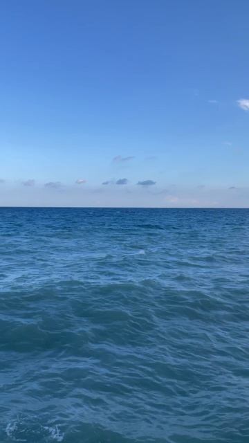 Ялта, море бушует🌊