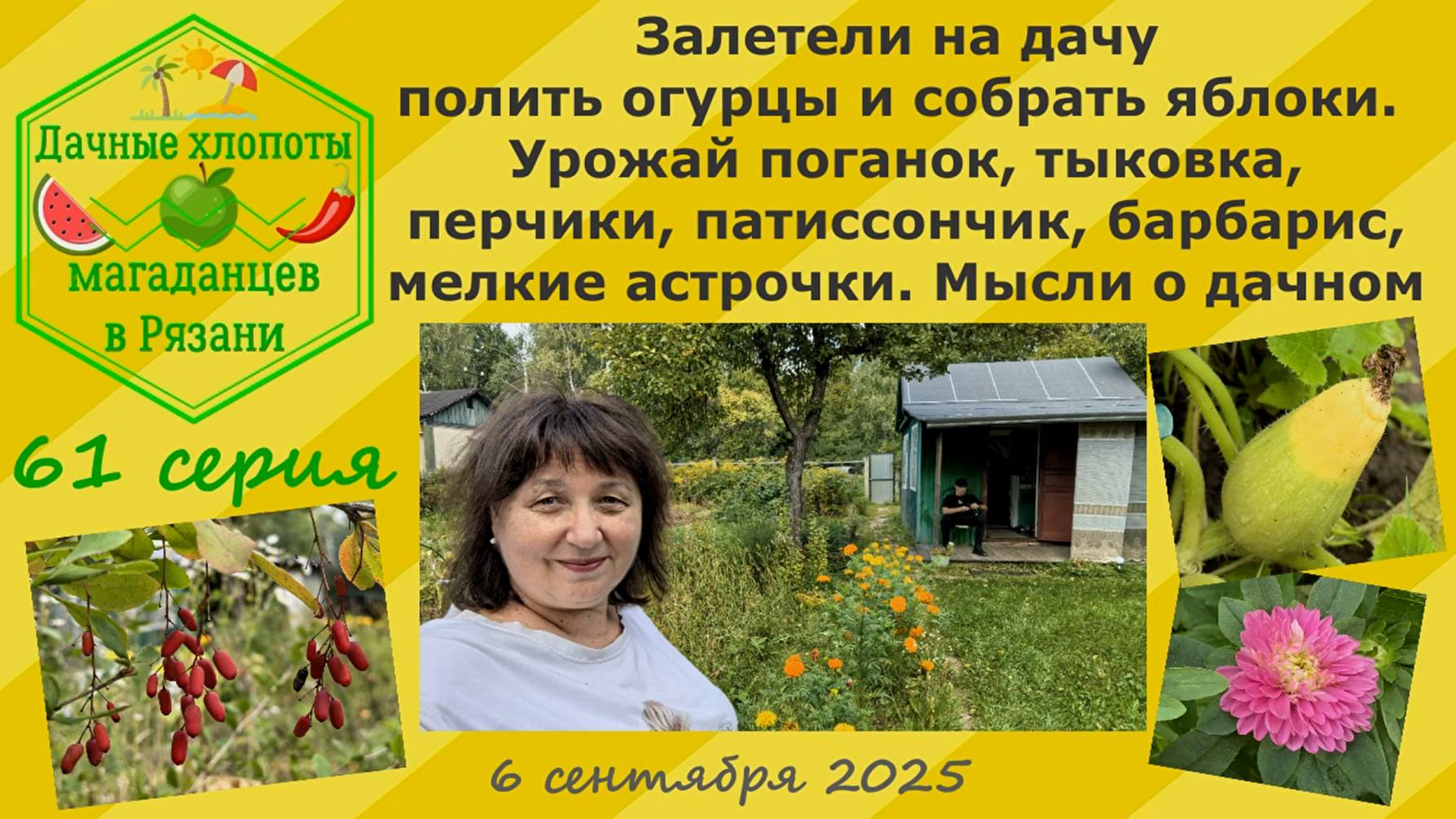 Залетели на дачу полить огурцы, собрать яблоки. Урожай поганок,тыковка,перчики,патиссончик,барбарис