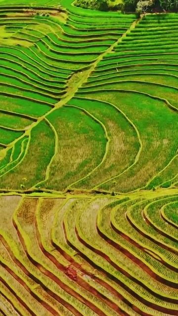 🌅 Phantogram – Fall In Love (NEUS Remix)  Bali vibes 💫