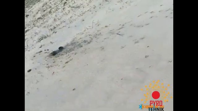 FPC228 трещащие шары Big Size