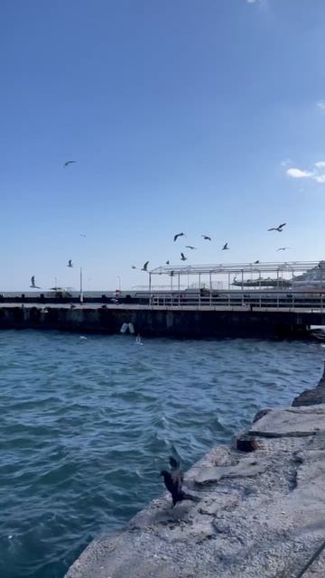 Ялта осенью 🍁