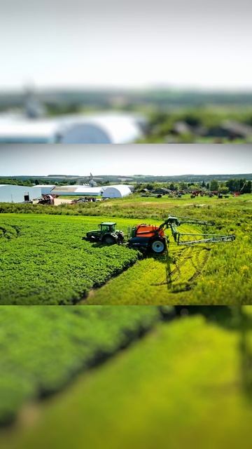 ПОЛИДОН 🟠 День растениеводства 19 сентября 2025