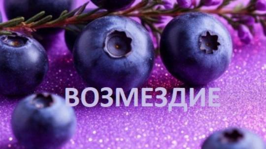 ВОЗМЕЗДИЕ 2025-09-11