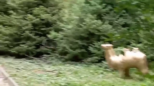 11 Пансионат Каргалы MED Алматы 25 06 2023 2K 1080p