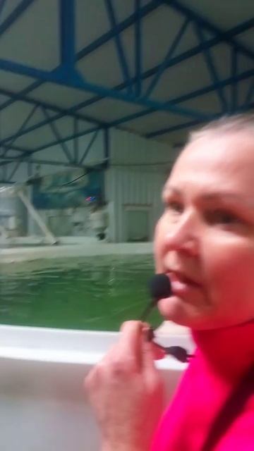 Покормить осетра #добрыйавтобус