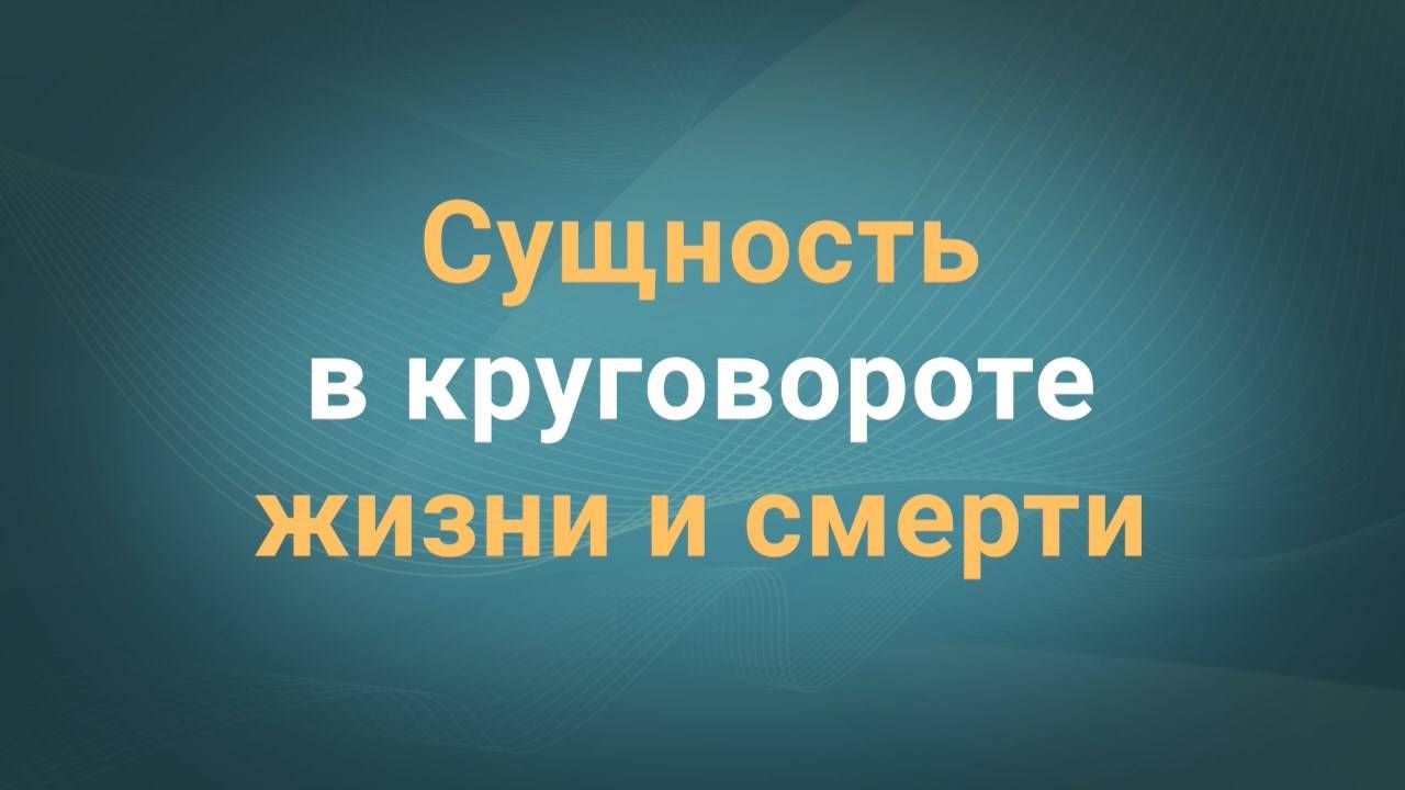 Сущность в круговороте жизни и смерти