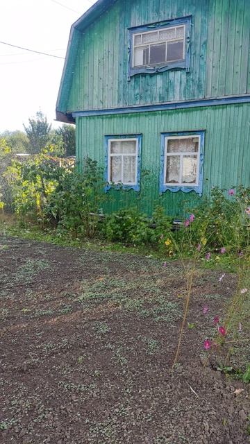 01-09-2025 дача, как много впереди дел