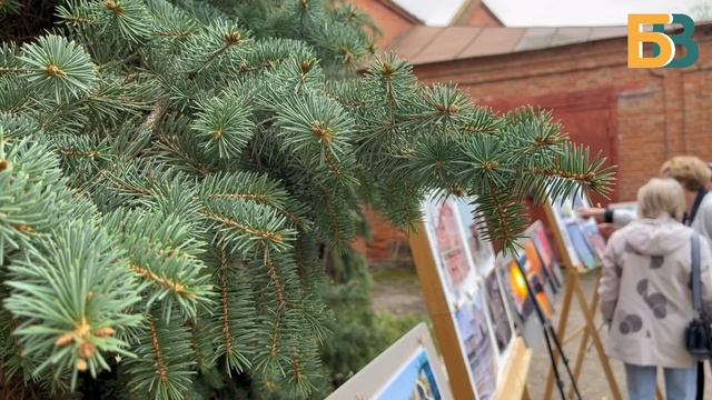 В музее истории города Балаково состоялась фотовыставка в честь Дня города