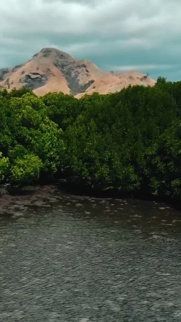 🔥 Музыка любви на фоне Бали 🌅 Fall In Love Remix 🎧