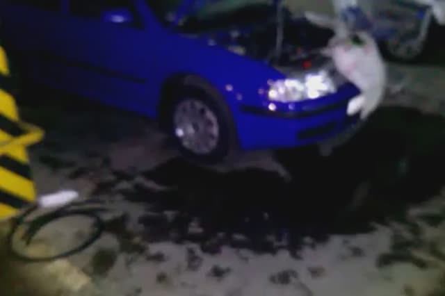 Отечественные автомобильные шланги после 3 лет использования