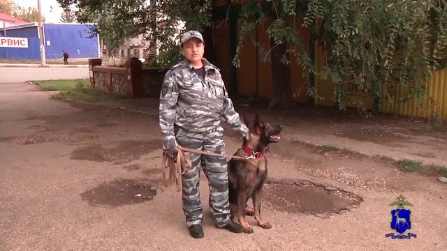 В Самаре служебная собака помогла полиции раскрыть кражу техники из центра психологической помощи