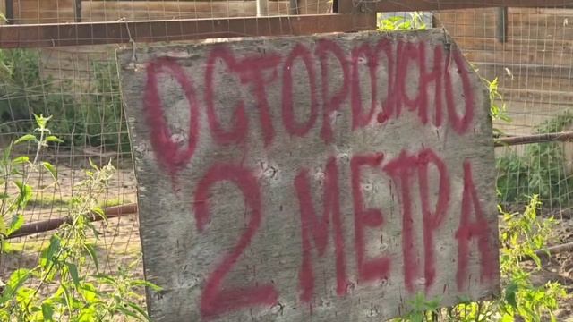 Клип "Трасса Рига Москва 2025"