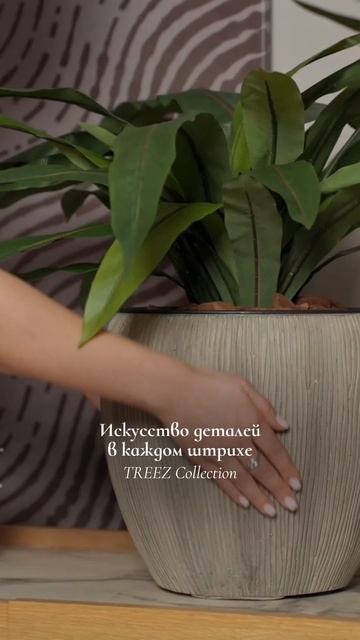 Баланс форм и фактур