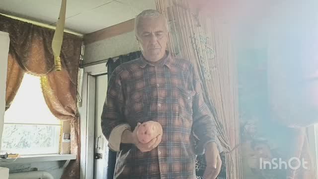 КАРТОФЕЛЬНЫЙ ВОПРОС #репортаж 1000055883.mp4