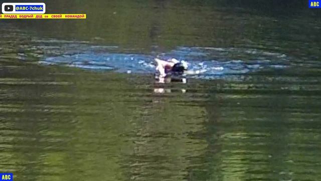 И заплыв и грибы БЕЛЫЕ 11.09.2025 #юныйпрадедбодрыйдед #авсарх