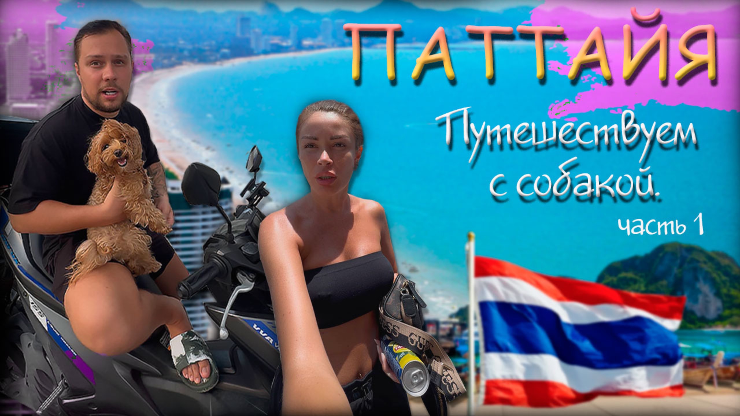 ПАТТАЙЯ  2025 (ПУТЕЩЕСВУЕМ С СОБАКОЙ)