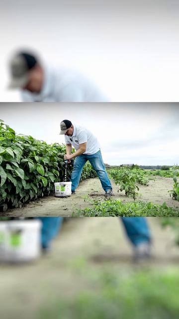 ПОЛИДОН. Пробы почвы 🟠 День растениеводства 19 сентября 2025