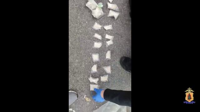 В Рязани задержан оптовый наркозакладчик из Орла