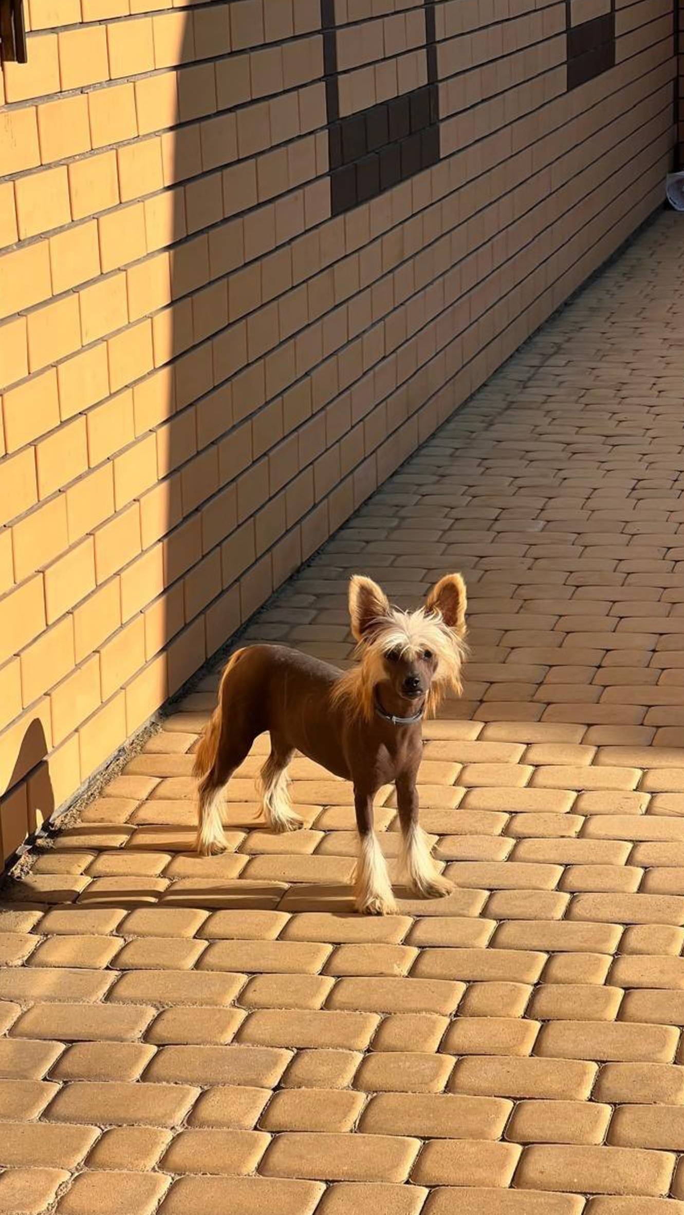 Глория Тарасова - красивая девочка!