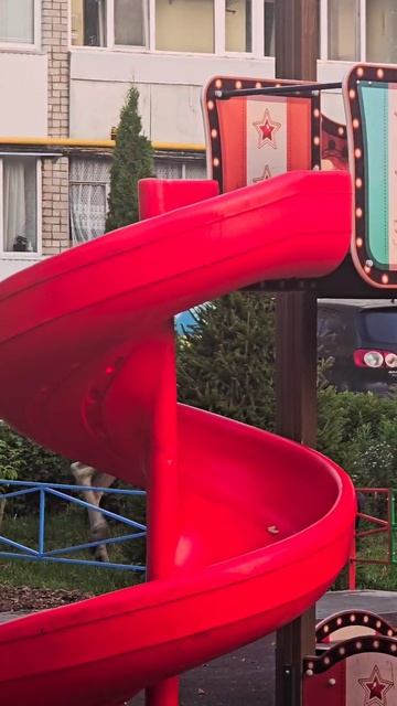 Лось ходил по городу в Уфе 2025