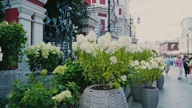 Святой алкоголь