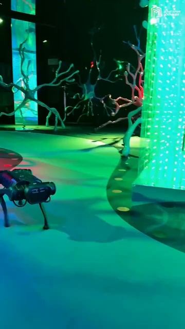 А как проходит ваша пятница?