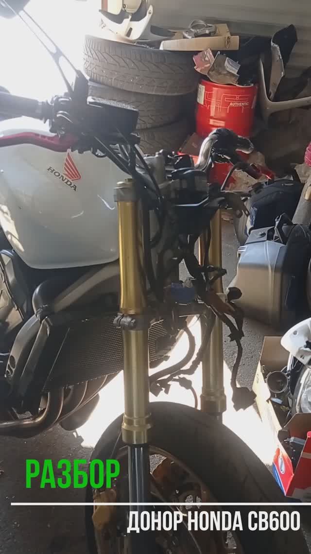 "Донор и пациент"  разбор донора клип 3    @vlogger161  #motovlog #honda #hornet #cb600f