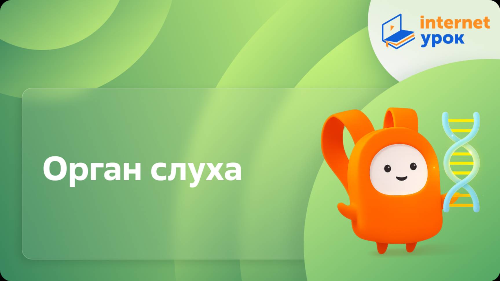 Биология 8 класс. Орган слуха