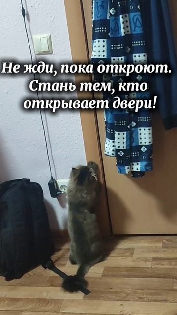 Не жди, пока откроют. Стань тем, кто открывает двери! #Успех #Сетевойбизнес #Лидер #СвойБизнес